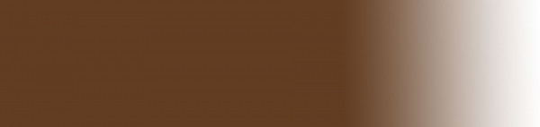 Caramel Liquid E150a (Plain) – 25kg pack – All Colour Supplies